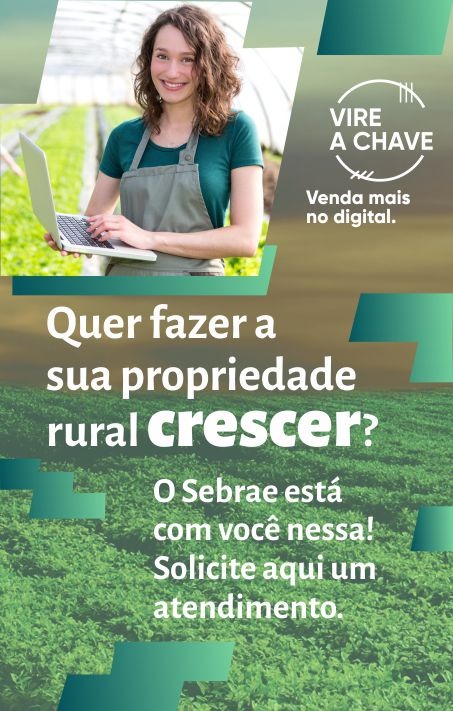 Sebrae PERNAMBUCO PE - Sebrae